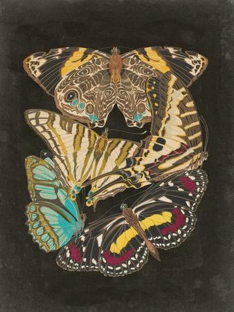 'Winged Patterns I' Posters - Eugene Seguy | AllPosters.com