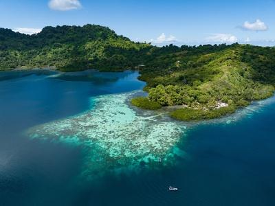 'Extensive coral reefs fringe rainforest-covered islands in the Solomon ...