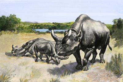 'Extirpated Species of Rhinoceros Titanothere in South Dakota in the ...
