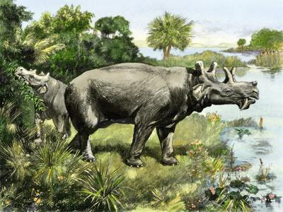 'Extirpated Species of Rhinoceros Uintatherium (Uintathere) in the ...