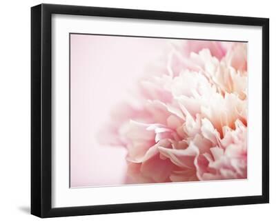 'Fade to Pink' Photographic Print - Doug Chinnery | AllPosters.com