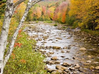 'Fall Colors Along the Swift River in Maine's Northern Forest, Byron ...