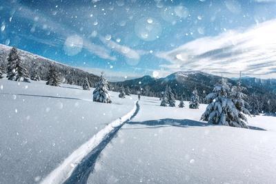 'Fantastic winter landscape with snowy trees in high mountains. DOF bokeh light postprocessing ...