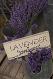 'Farm Sign with Dried Lavender for Sale at Lavender Festival, Sequim ...