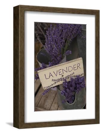 'Farm Sign with Dried Lavender for Sale at Lavender Festival, Sequim ...