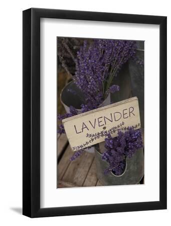 'Farm Sign with Dried Lavender for Sale at Lavender Festival, Sequim ...
