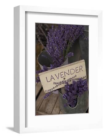 'Farm Sign with Dried Lavender for Sale at Lavender Festival, Sequim ...