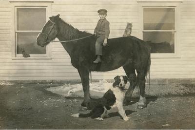 'Farmboy with Cat on Horse and Dog' Posters | AllPosters.com