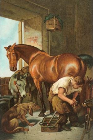 'Farrier Shoeing Horse' Posters | AllPosters.com