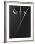 'Fencing Weapons: Epee, Foil, Sabre' Photographic Print | AllPosters.com