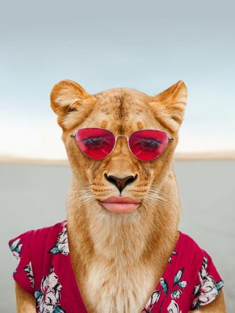 'Fierce Lioness' Posters - Marcus Prime | AllPosters.com