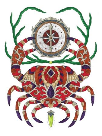 'BC Compass Crab - Color' Giclee Print - Filippo Cardu | AllPosters.com