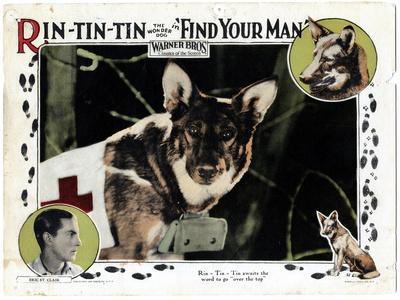 'Find Your Man, Eric St. Clair, Rin Tin Tin, 1924' Print | AllPosters.com