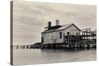 'Fish Shack' Stretched Canvas Print - Wink Gaines | AllPosters.com