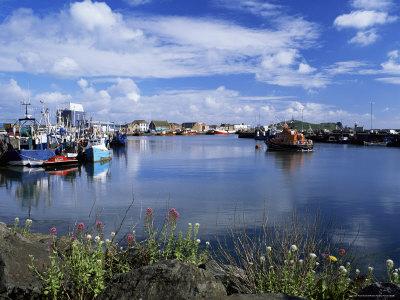 'Fishing Vessels Moored Along the West Pier, Howth Harbour and Lifeboat ...