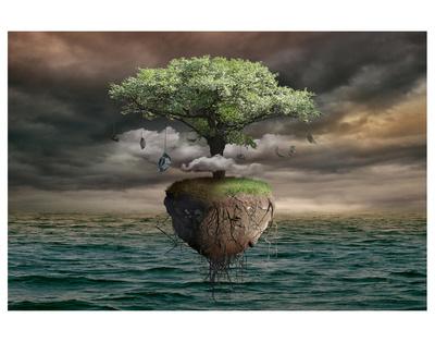 'Floating Tree' Premium Giclee Print | AllPosters.com