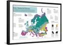 Flora y fauna de Europa. Photographic Print | AllPosters.com