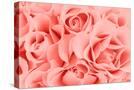 Floral Background of Blooming Roses, Living Coral Color - Color of the ...
