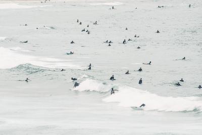 'Swimscape' Giclee Print - Florian Schleinig | AllPosters.com