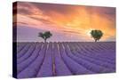 'Flower trees landscape, meadow nature. Panoramic landscape. Inspire ...