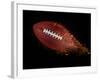 'Flying Rugby Ball Isolated on Black.' Photographic Print - Kesu01 ...