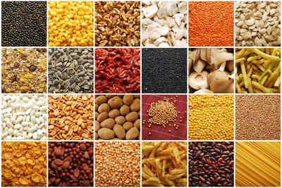 'Food Ingredients Collection' Prints - ibogdan | AllPosters.com