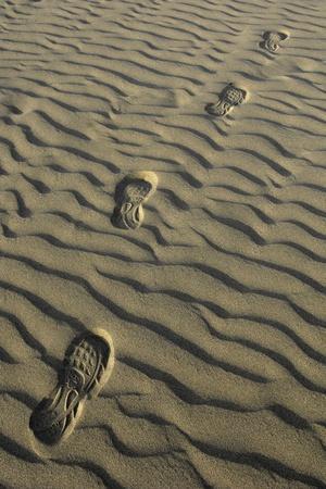'Footsteps (Basketball Soles) in the Sand on a Beach.' Giclee Print ...