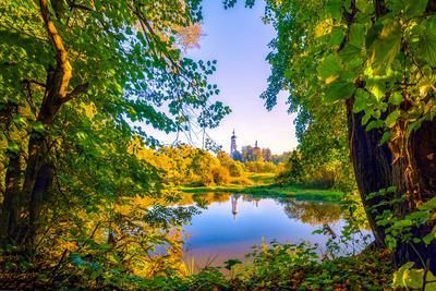 'Forest Lake Water through Trees View. Forest Lake View. Forest Lake ...