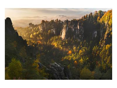 'Forest Whispers' Premium Giclee Print | AllPosters.com