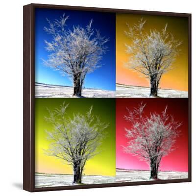 'Four Seasons' Photographic Print - Philippe Sainte-Laudy | AllPosters.com