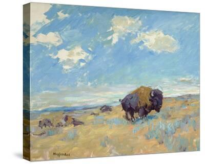 'Buffalo' Stretched Canvas Print - Frank B. Hoffman | AllPosters.com
