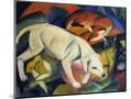 'Three Animals (A Dog, a Fox, and a Cat), 1912' Giclee Print - Franz ...