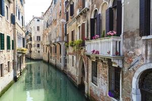 Fraser Hall Posters, Prints, Paintings & Wall Art | AllPosters.com