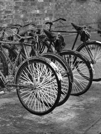 'Frost Bike' Photographic Print - Fred Musto | AllPosters.com