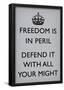 'Freedom is in Peril, Defend It With All Your Might (Motivational ...