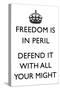 'Freedom is in Peril, Defend It With All Your Might (Motivational ...