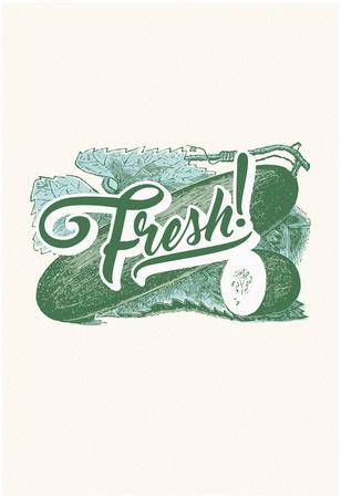 'Fresh - Cucumber' Posters | AllPosters.com