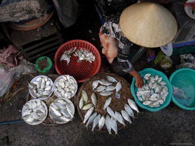 'Fresh Fish at the City Market, Da Nang, Vietnam, Indochina, Southeast ...