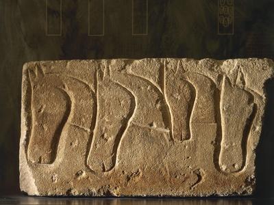 'Frieze with Engraved Horse Heads, Detail of Architrave of Roquepertuse ...