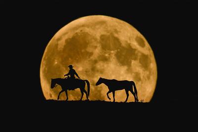 'Full Moon Ride' Posters - Robert Dawson | AllPosters.com