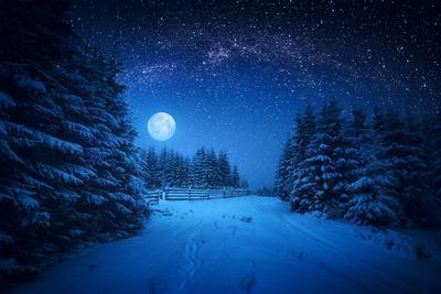 'Full Moon Rising above the Winter Forest Covered with Fresh Snow ...