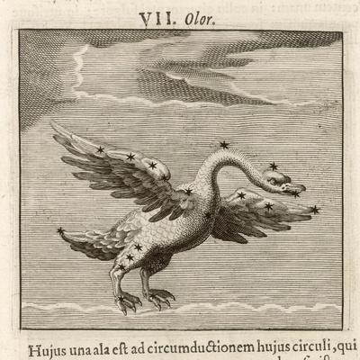 'Zodiac' Posters - Gaius Julius Hyginus | AllPosters.com