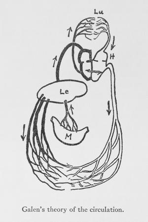 'Galen's Theory of the Circulation Drawing' Giclee Print | AllPosters.com