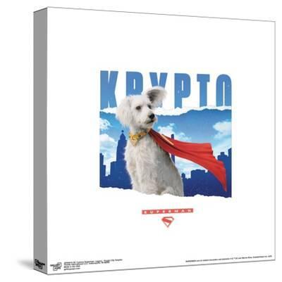 'Gallery Pops DC Studios Superman (2025) - Krypto City Graphic Canvas ...