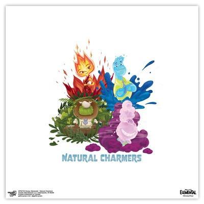 Gallery Pops Disney Elemental - Natural Charmers Wall Art - Trends ...