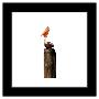 Gallery Pops® Disney Pixar Finding Nemo - Nigel Wall Art - Trends ...