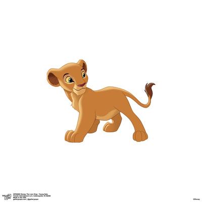 Lion King Pictures Of Nala