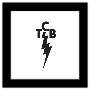'Gallery Pops Elvis Presley - TCB Flash Icon Wall Art' Gallery Pops ...