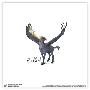 'Gallery Pops Harry Potter - Glimmer Buckbeak Wall Art' Gallery Pops ...