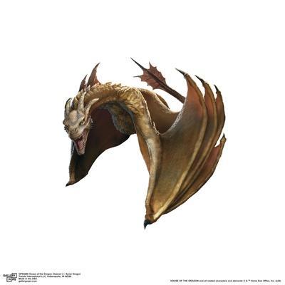 'Gallery Pops House of the Dragon: Season 2 - Syrax Dragon Wall Art ...
